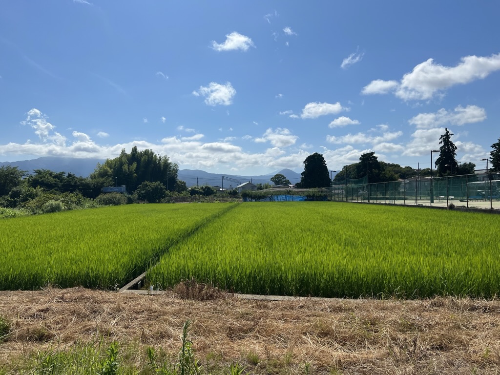 オーディオ評論家 林 正儀 先生宅訪問 – Ge3 beyond