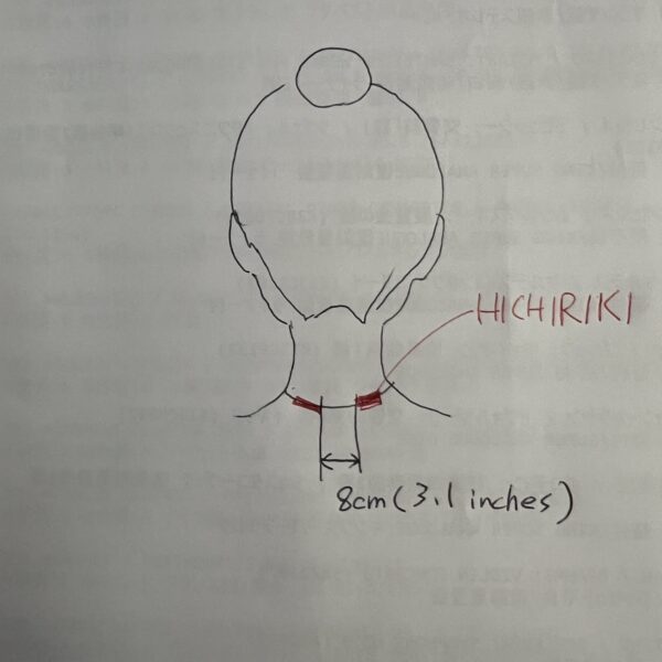 篳篥を演奏家(世界的メゾ・ソプラノ)につけたら⑤リナット・シャハムさん 篳篥へコメント – Ge3 beyond